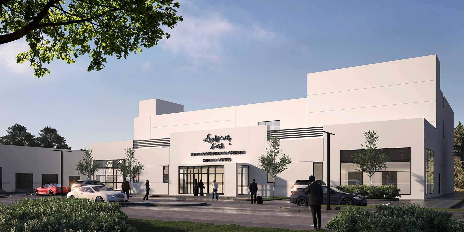 Sheikh Zayed Medical Complex - HDP